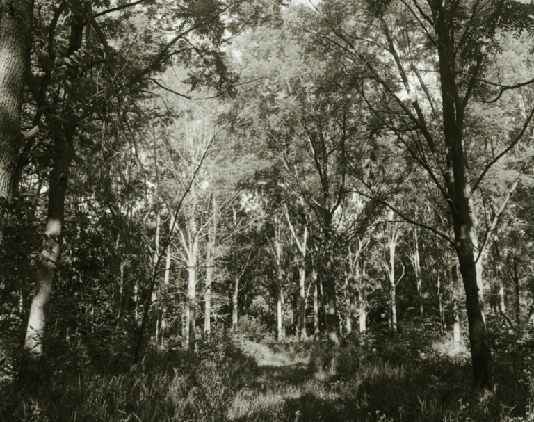 Notre Histoire – St Albert Ontario